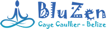 bluzen-logo – Belize Provisions